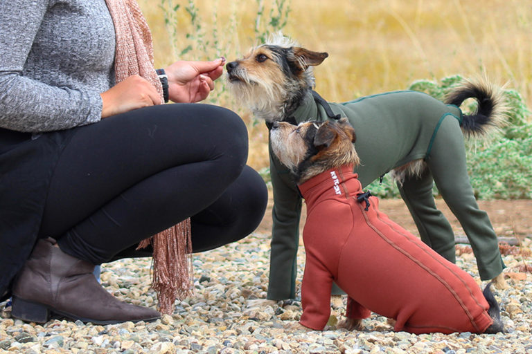 New Suit Guide - K9 Top Coat